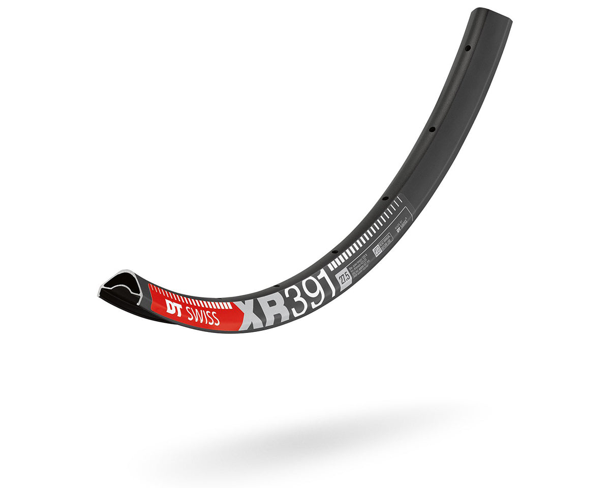DT SWISS XR 391 Rim- DT Swiss Rim- Bike Rim – Treknology Bikes 3